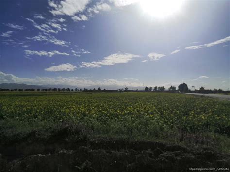 Haproxy 五个配置部分详解haproxy Frontend Csdn博客