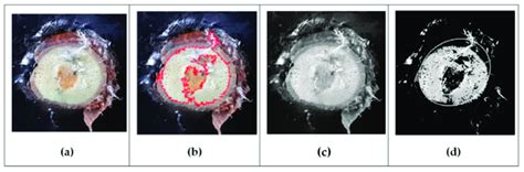 Results Obtained From Testing The Plant Contour Analysis Algorithm
