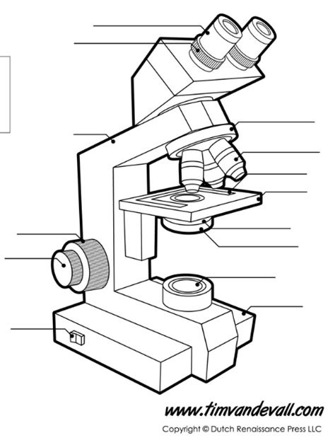 Microscope Labeling Part Diagram Quizlet