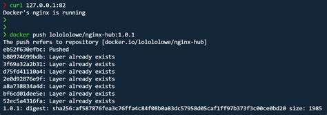Docker 全流程实践 Lololowe的博客