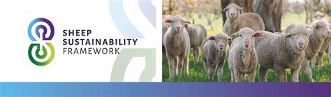 Sheep Sustainability Framework Sheep Producers Australia