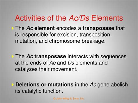 Ppt Chapter 17 Transposable Genetic Elements Powerpoint Presentation Id 1180237