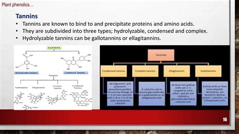 Phenolics Types Biosynthesis And Functions Pptx