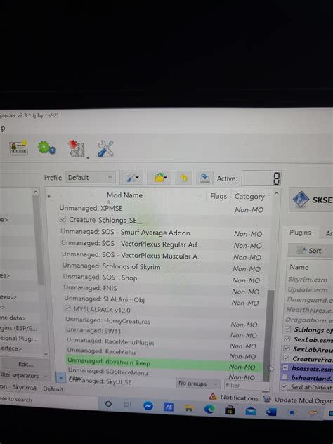 Sos Se Help Please Technical Support Skyrim Special Edition