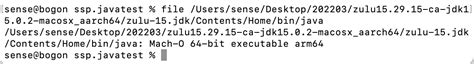 Java BCE方式保护最佳实践 Virbox Protector