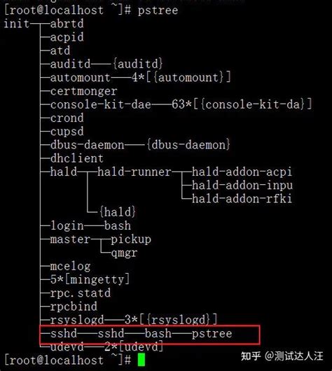 shell基础— bash的特殊符号 知乎