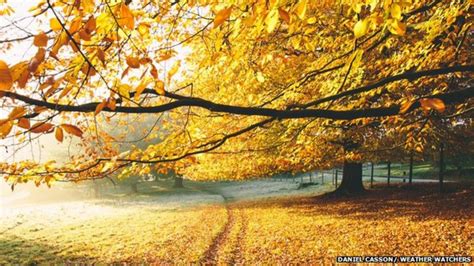 Meteorological Autumn Bbc Weather
