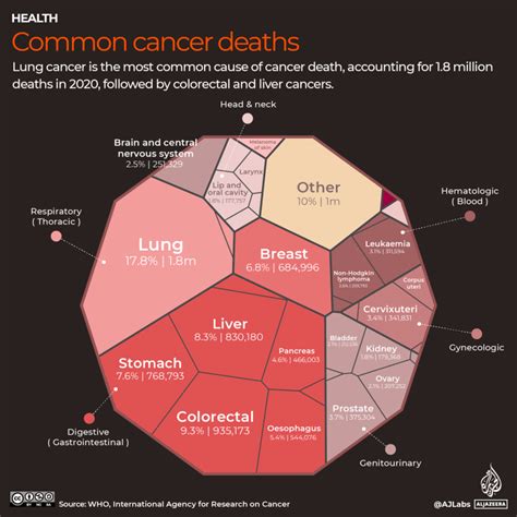 Infographic A Global Look At Cancer Infographic News Al Jazeera