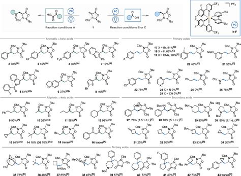 Scheme 1 Scope And Limitations Of The Light Mediated Synthesis Of Uaa Download Scientific