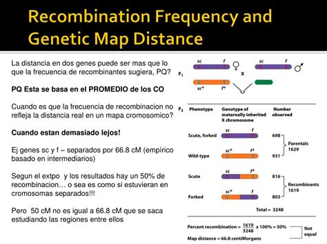 Ppt Chapter 7 Linkage Crossing Over And Chromosome Mapping In