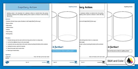 Third Grade Capillary Action Project Resource Twinkl Usa Third Grade Capillary Action Project Resource Twinkl Usa