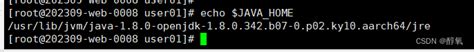 【linux】麒麟v10安装openjdk8 麒麟v10 安装openjdk csdn博客