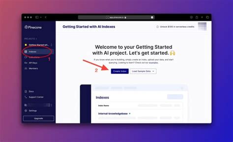 build rag app using llamaindex pinecone and gemini pro