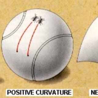 7 Schematic Representation Of The Curvature In Two Dimensions Credit Download Scientific