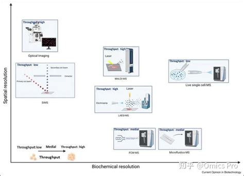 质谱单细胞代谢组：黄金时代？ 知乎