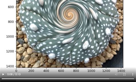 [matplotlib animation] 45 skimage transform swirlのradius変化アニメーション サボテンパイソン
