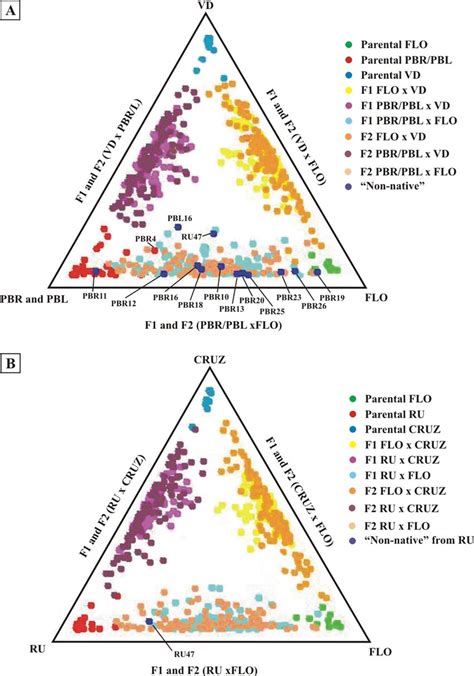 fig s3 a triangle plot revealing patterns of clustering of simulated
