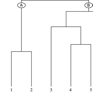 Dendrogram Of The Numerical Classification Of The Plant Communities Of