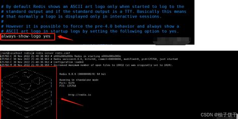 Redis 配置文件参数详解redis配置文件 Csdn博客 Redis 配置文件参数详解redis配置文件 Csdn博客