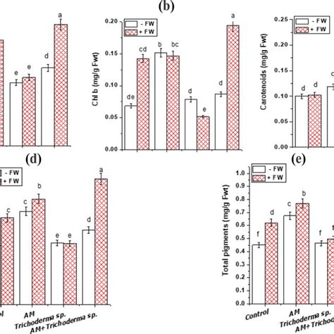 A Effect Of Trichoderma Sp Inoculation And Fw Application On Am Fungal Download Scientific
