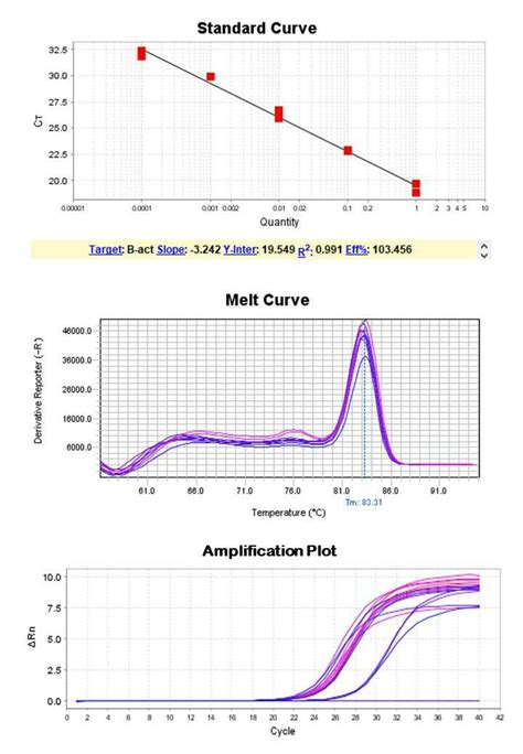 standard curve melt curve and amplification plot for beta actin