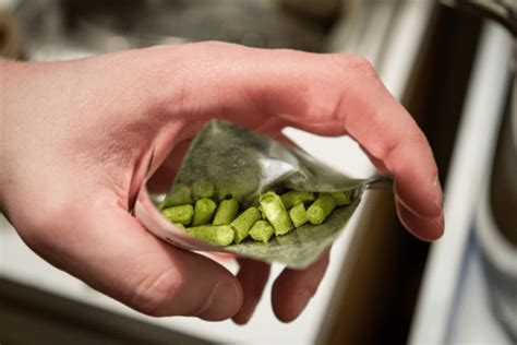 Ariana Hops Guide An Excellent Hop For Homebrewing Beertannica