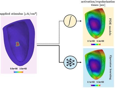 논문 리뷰 Learning Cardiac Activation And Repolarization Times With Operator Learning