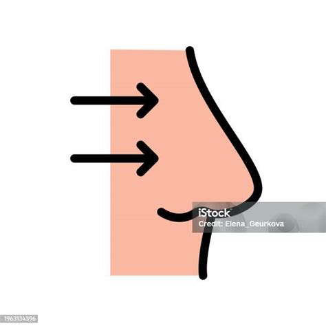 코 색 아이콘입니다 가는 선 그림입니다 단순 플랫 기호입니다 벡터 격리 도면 감각 지각에 대한 스톡 벡터 아트 및 기타 이미지