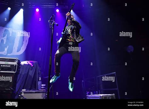 Uk 18th Dec 2024 London England December 18 Keith Streng Of The Fleshtones Performing