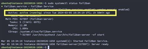 installing and configuring fail2ban on ubuntu 文科生的it笔记