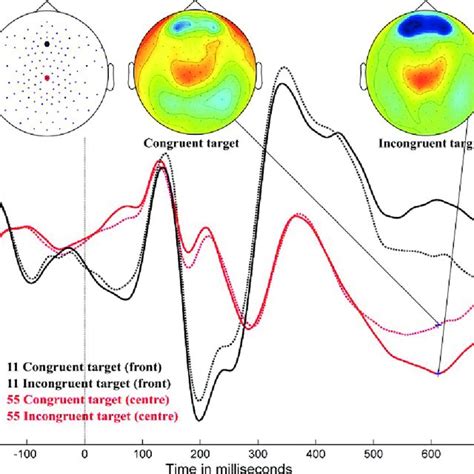 Inhibition Grand Averaged Erp Waveforms For Congruent Stimulus Dotted Download Scientific