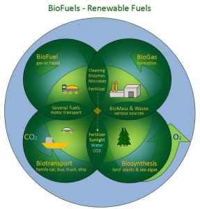 What Are Biofuels And How Do They Work