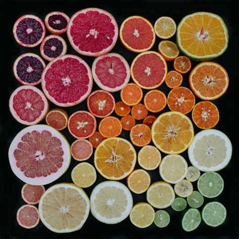 Photographs Of Color Coded Food And Plants By Emily Blincoe Luxuo