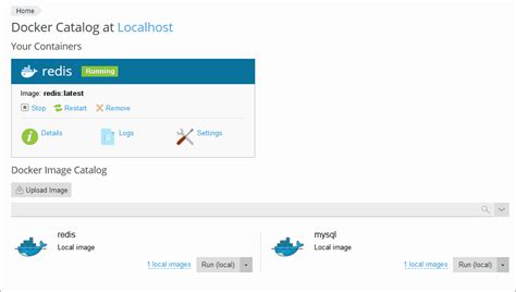 using docker plesk obsidian documentation