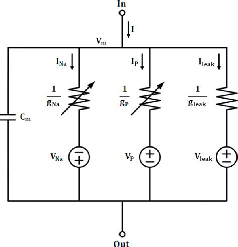 Spike Processing Circuit Design For Neuromorphic Computing Semantic