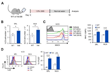 Cd1d Dependent Inkt Cells Control Dss Induced Colitis In A Mouse Model