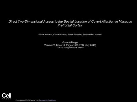 Direct Two Dimensional Access To The Spatial Location Of Covert