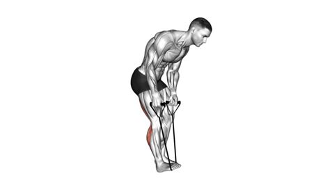 Standing Hamstring Stretch Female Video Guide And Tips For Effective