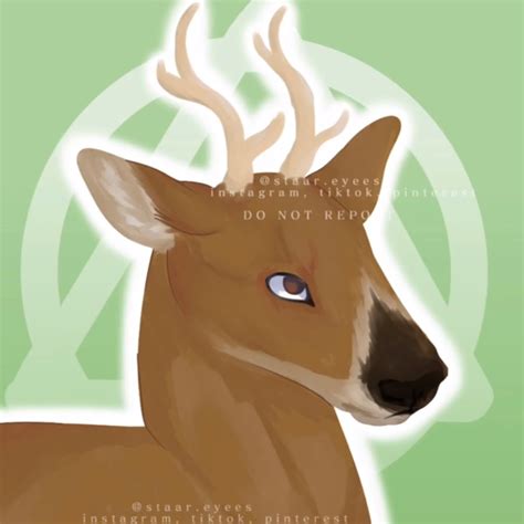 𝚆𝚒𝚜𝚙𝚢 𓄃 YouTube