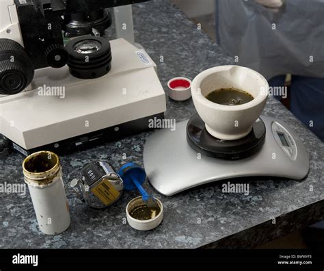 Fecal Egg Count Infestation Laboritory Microscope Parasites Sheep Surgery Vet Veterinary Worms