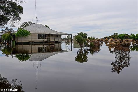 Flooding Update For NSW Victoria And South Australia Daily Mail Online