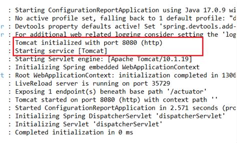 Display Auto Configuration Report In Spring Boot Application GeeksforGeeks