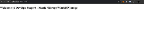 Configuring Nginx — Hng Devops Stage 0 By Rodney Njau Feb 2025