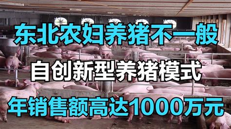 东北农妇养猪不一般自创新型养猪大法年销售额高达 多万元 YouTube