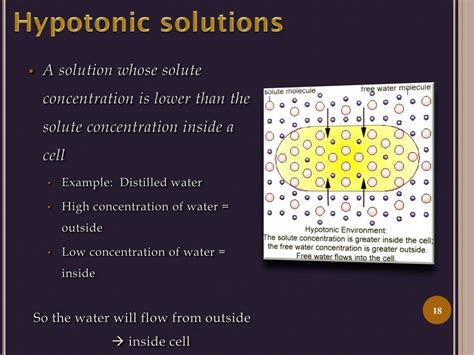 Lack Of Drinking Enough Water Cell Function Cell Diagrams A