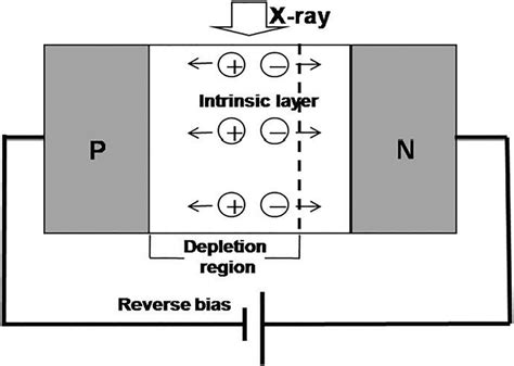 A SiPIN Photodiode Under The Reverse Bias Download Scientific Diagram