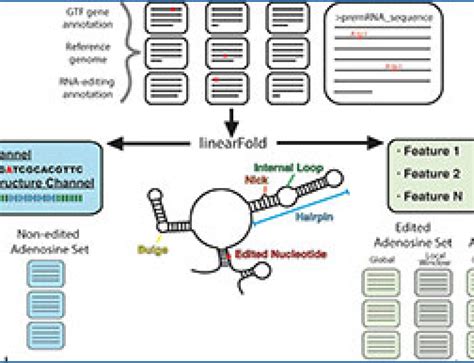Seq2hla In Silico Hla Typing Using Standard Rna Seq Sequence Reads