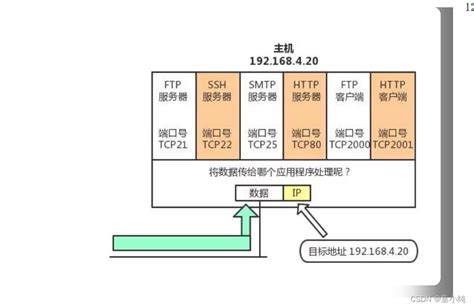 网络编程网络编程基本概念 网络通信协议IP地址 TCP协议和UDP协议 一 全面详解学习总结 从入门到深化 阿里云开发者社区