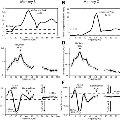 Power Modulation Spectra In V1 And Lgn V1 Interactions A B Ratio