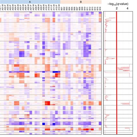 chromosome copy number analysis of the colorectal cancer crc